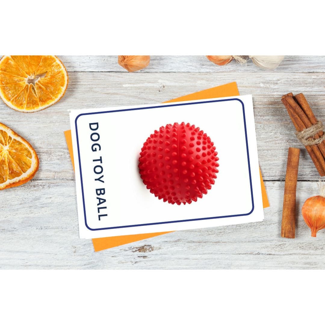 Enjoy 32 Sports Balls Flashcards for Kids, Preschoolers, Nomenclature ...