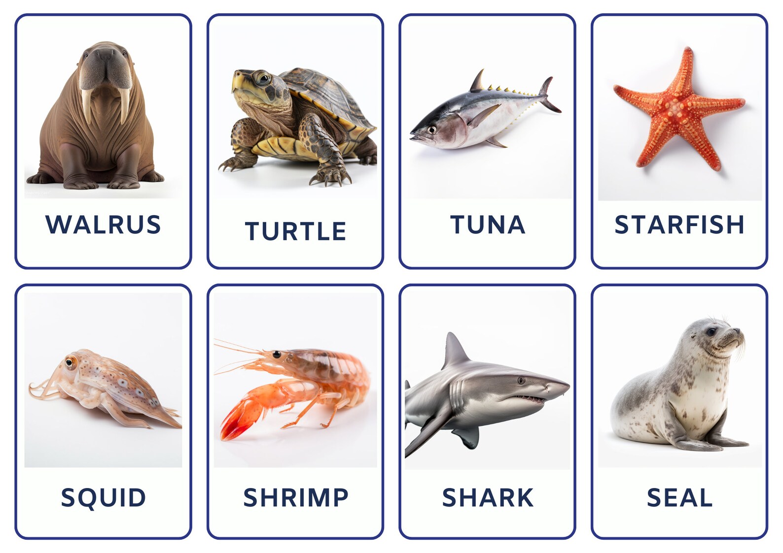 Explore the Outdoors With Our Flashcard Bundle, Safari, Ocean, Jungle ...