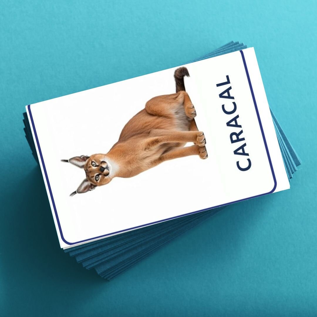 Engaging 32 African Animal Flashcards for Kids, Montessori Inspired ...