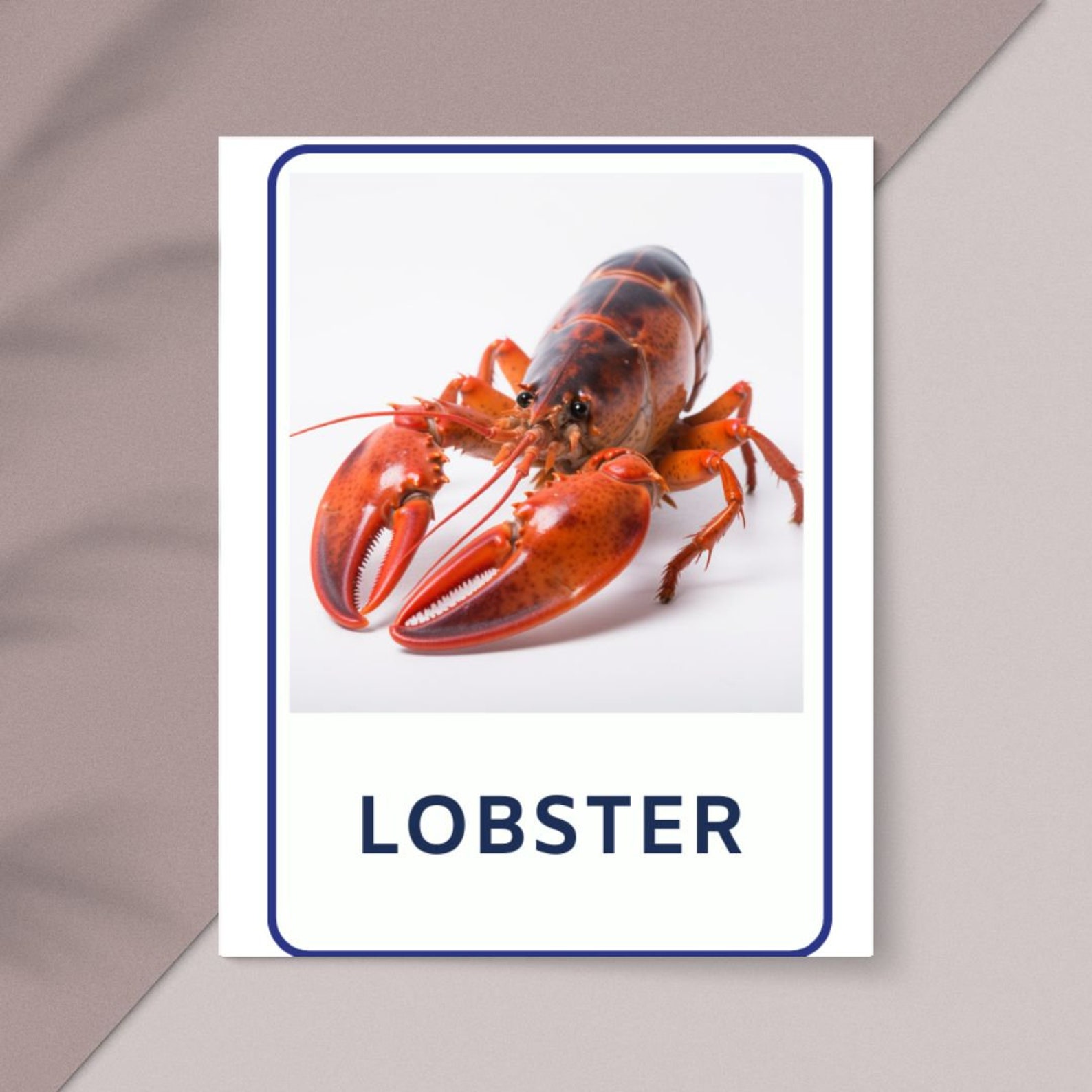 Engage Kids With 32 Ocean Animals Flashcards, Montessori Materials ...