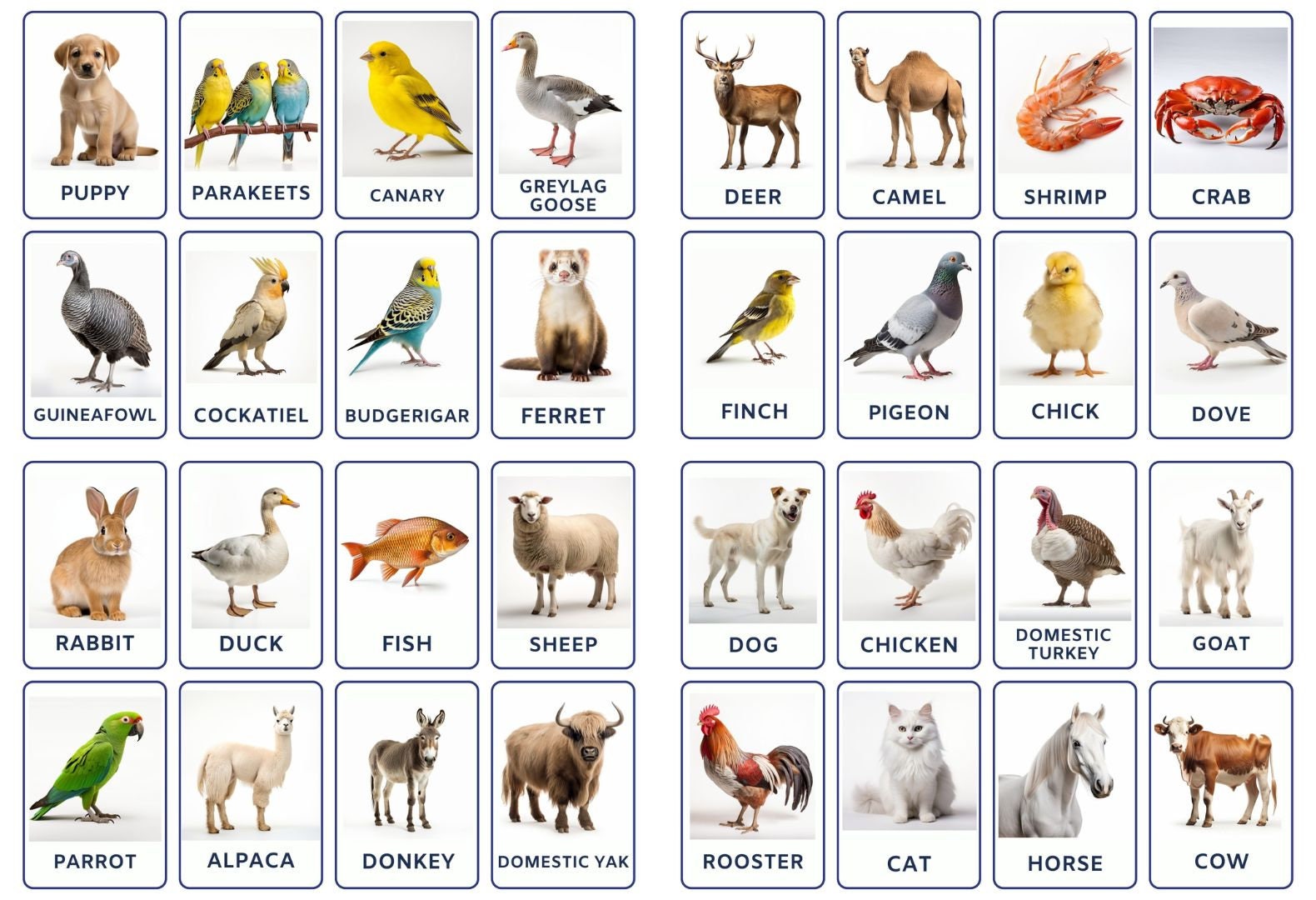 32 Domestic Animals and Birds Flashcards, Kids Printable, Nomenclature ...