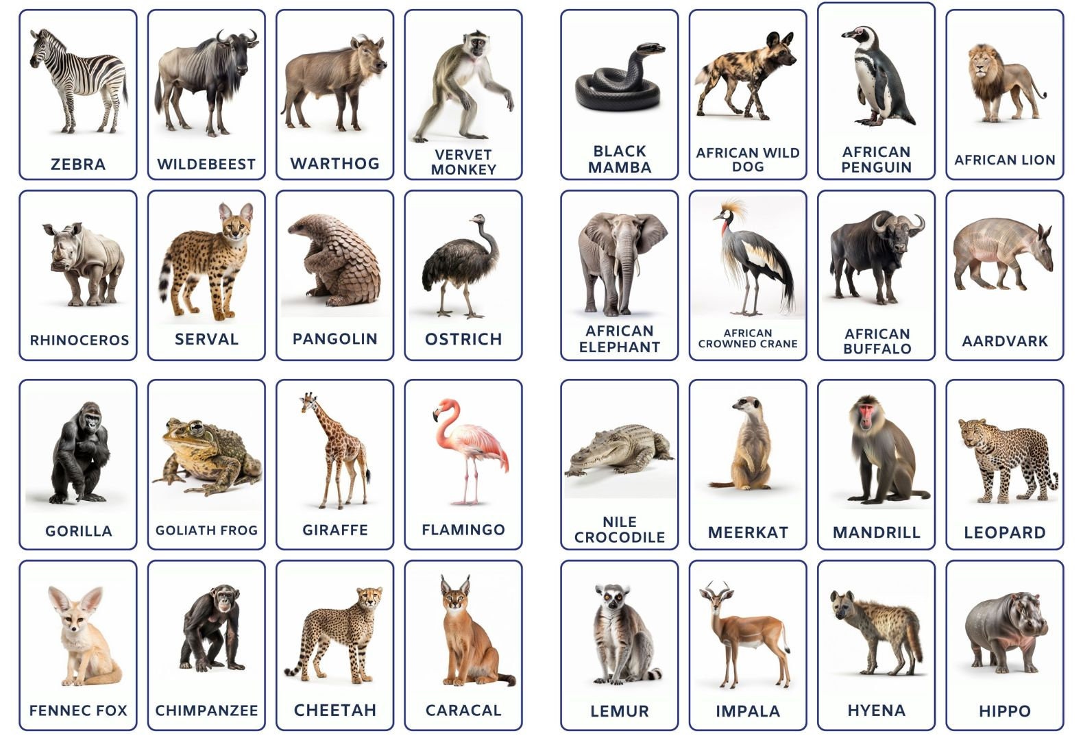 Engaging 32 African Animal Flashcards for Kids, Montessori Inspired ...
