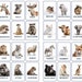 32 Wild Animals Flashcards, African Animals, Kids Cards, Nomenclature ...
