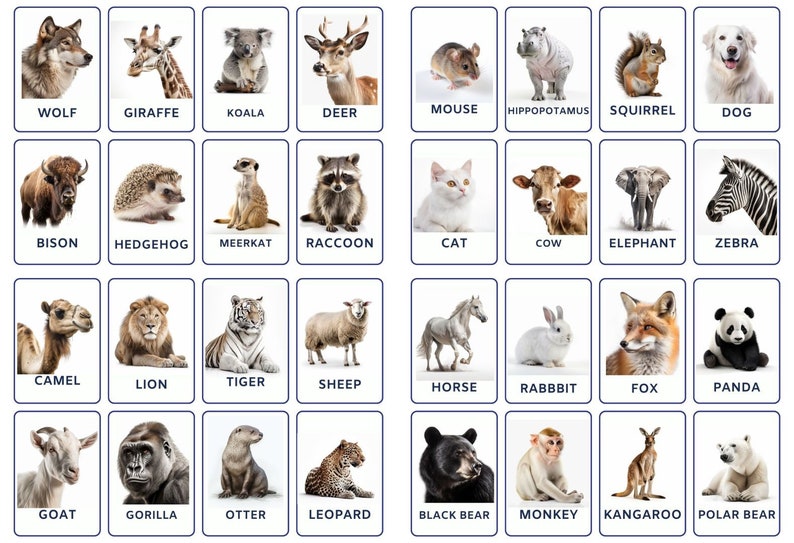 32 Wild Animals Flashcards, African Animals, Kids Cards, Nomenclature ...