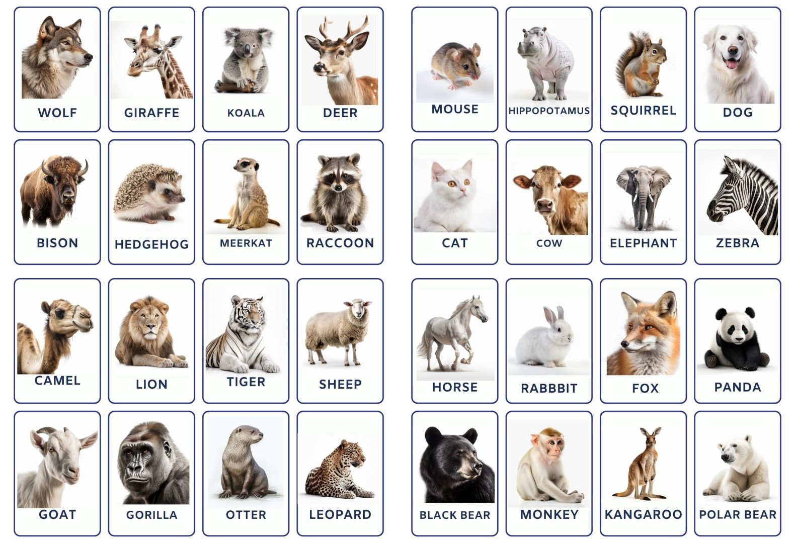 32 Wild Animals Flashcards, African Animals, Kids Cards, Nomenclature ...