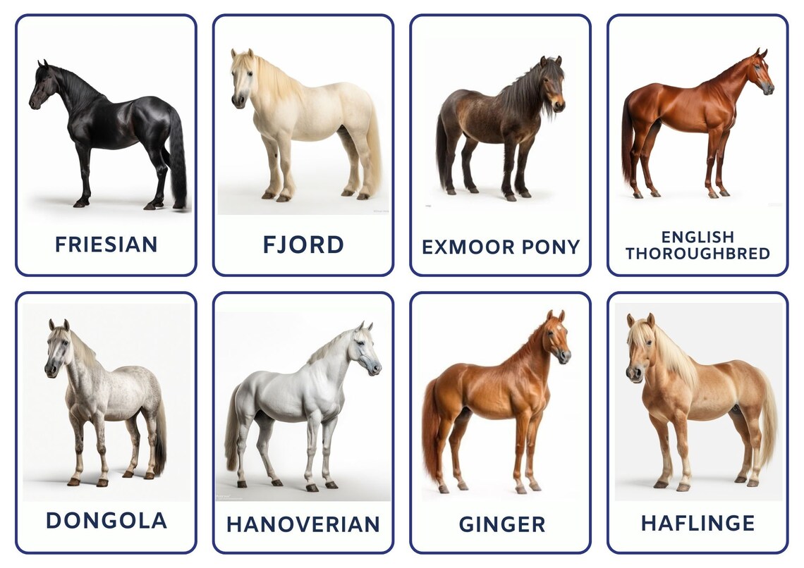 Ultimate Animal Breeds Flashcard Bundle, Including Snake Breeds, Dog ...