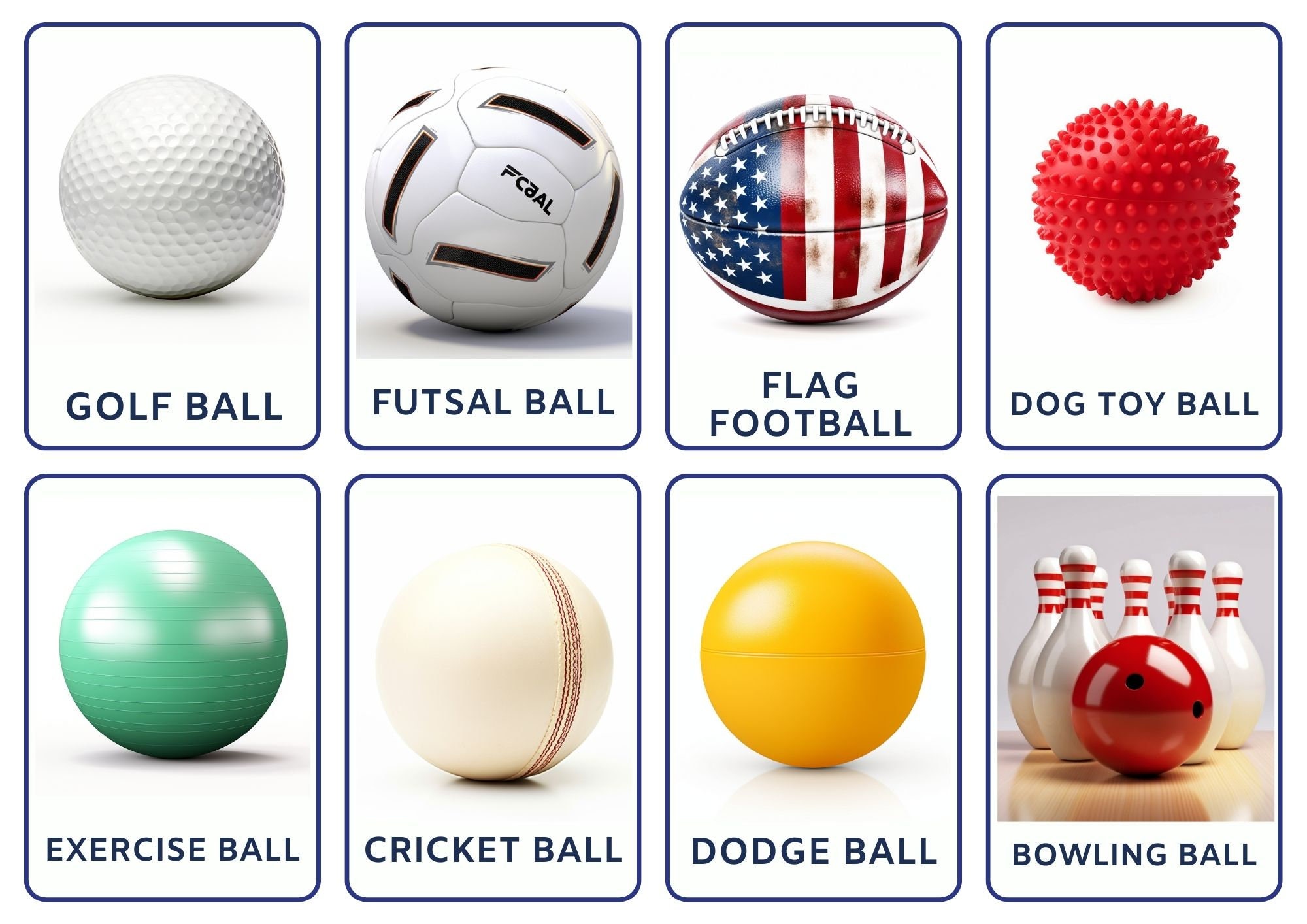 Flashcard Bundle of Sports Spectacular Flashcards Including Sports ...