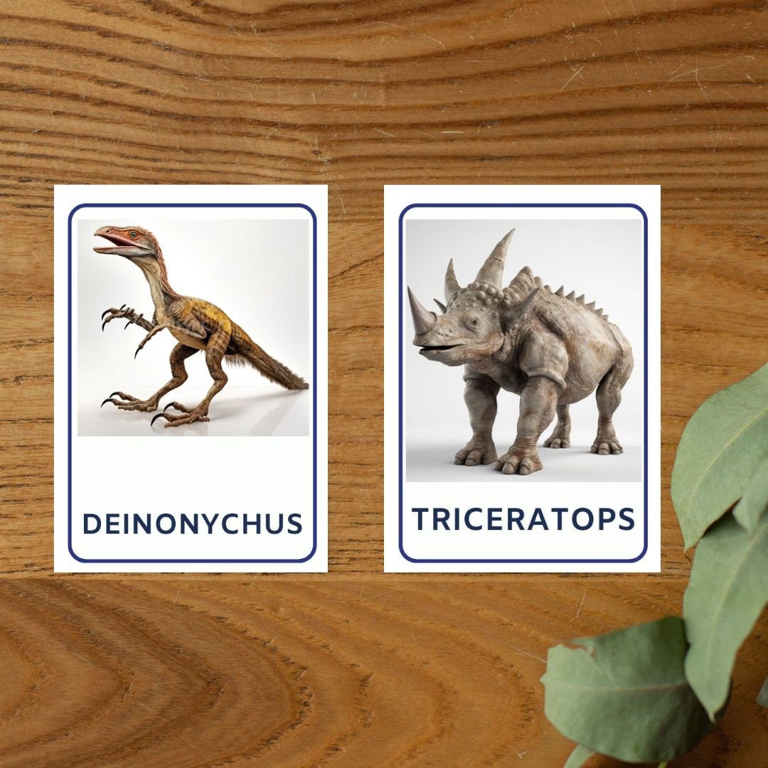 Explore Dinosaurs With 32 Montessori Flash Cards, Real Pictures ...