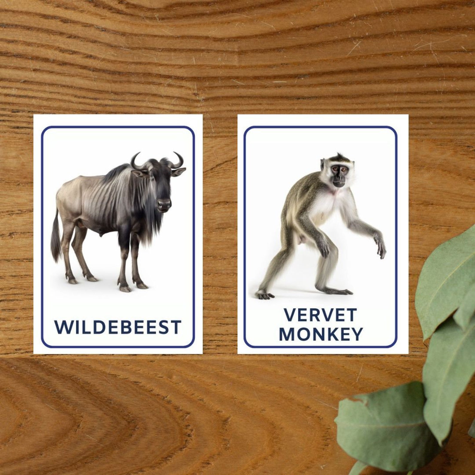 Engaging 32 African Animal Flashcards for Kids, Montessori Inspired ...