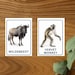 Engaging 32 African Animal Flashcards for Kids, Montessori Inspired ...