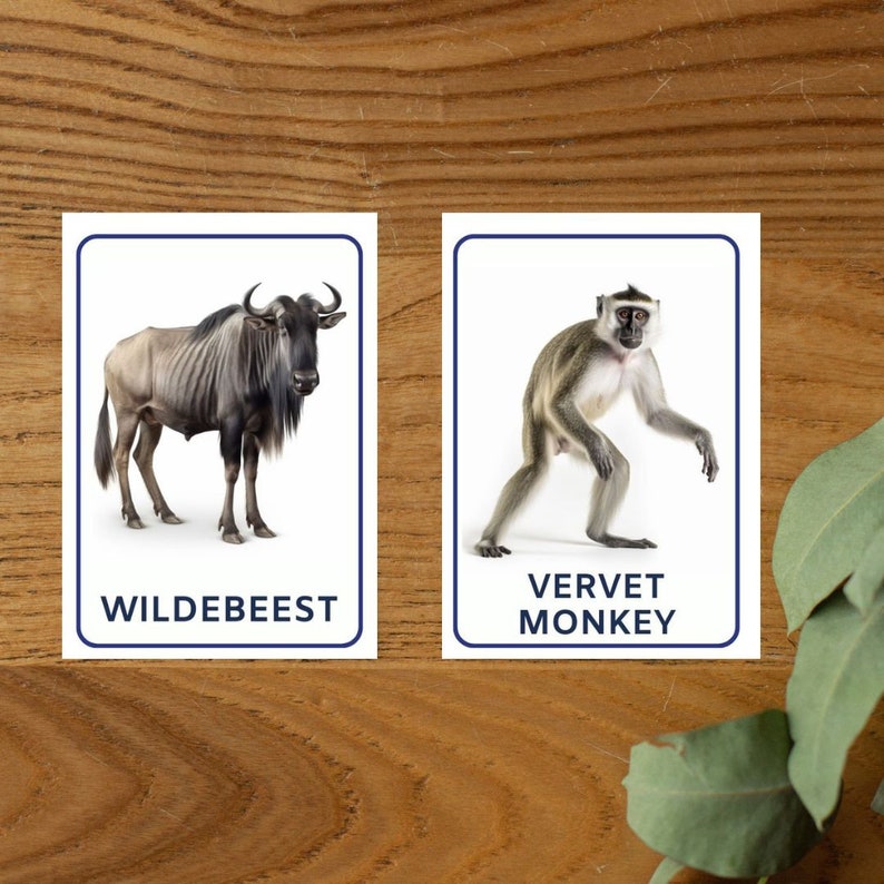 Engaging 32 African Animal Flashcards for Kids, Montessori Inspired ...