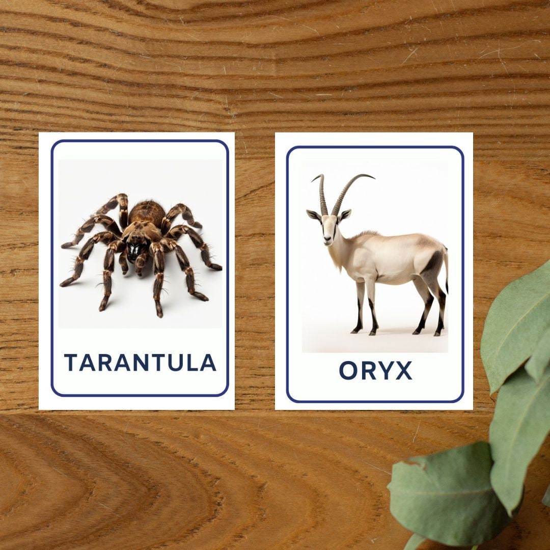 Explore Desert Wonders, 32 Desert Animals Flashcards for Kids and ...