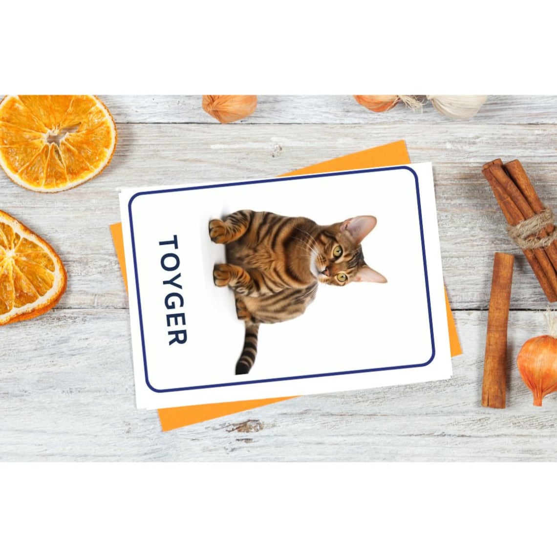 32 Cats Breed Flashcards, Kids Printable, Nomenclature Cards, Toddler ...