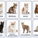 Ultimate Animal Breeds Flashcard Bundle, Including Snake Breeds, Dog ...