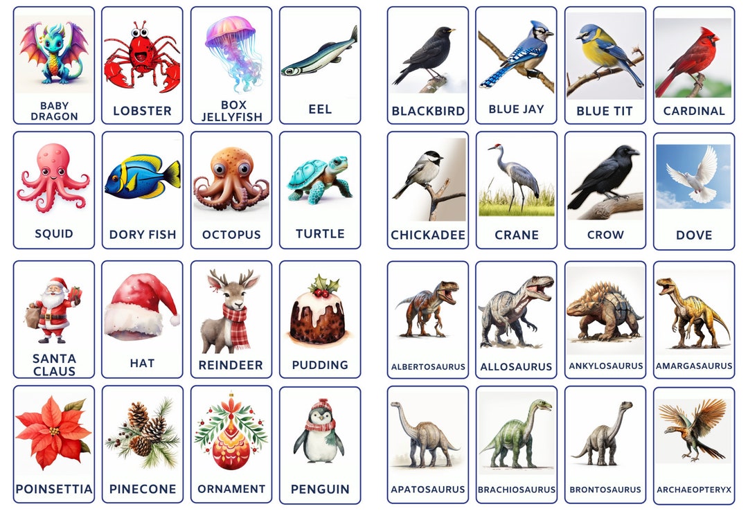 Flashcard Bundle of Animals and Creatures Bundle Includes Kids ...