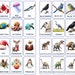 Flashcard Bundle of Animals and Creatures Bundle Includes Kids ...