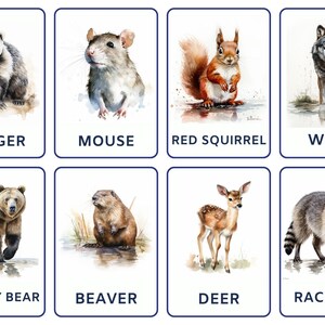 Flashcard Bundle of Woodland Animal Bundle Includes Farm Animals ...