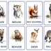 Flashcard Bundle of Woodland Animal Bundle Includes Farm Animals ...