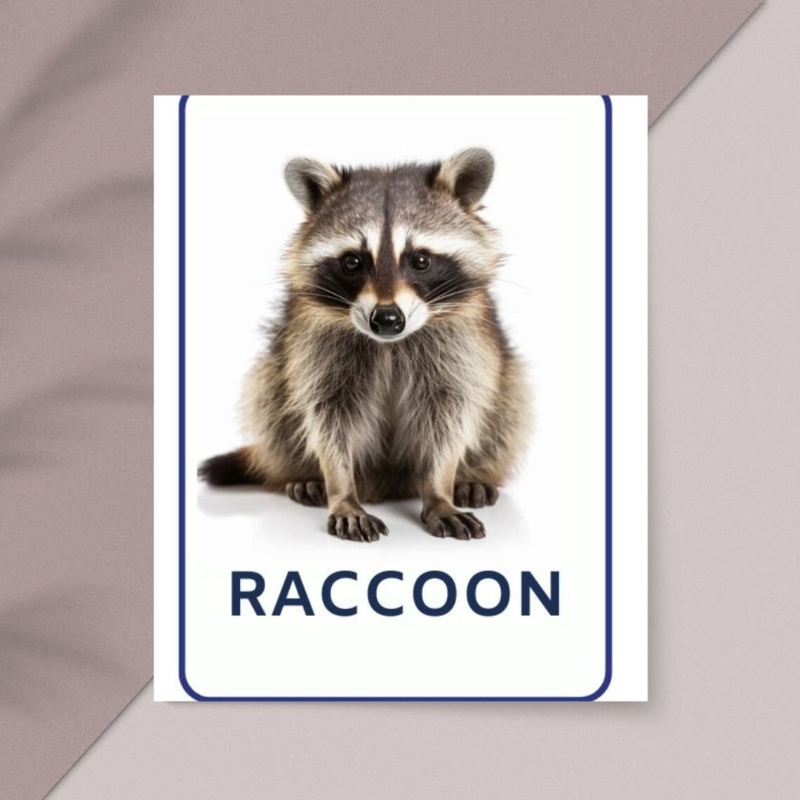 32 Wild Animals Flashcards, African Animals, Kids Cards, Nomenclature ...