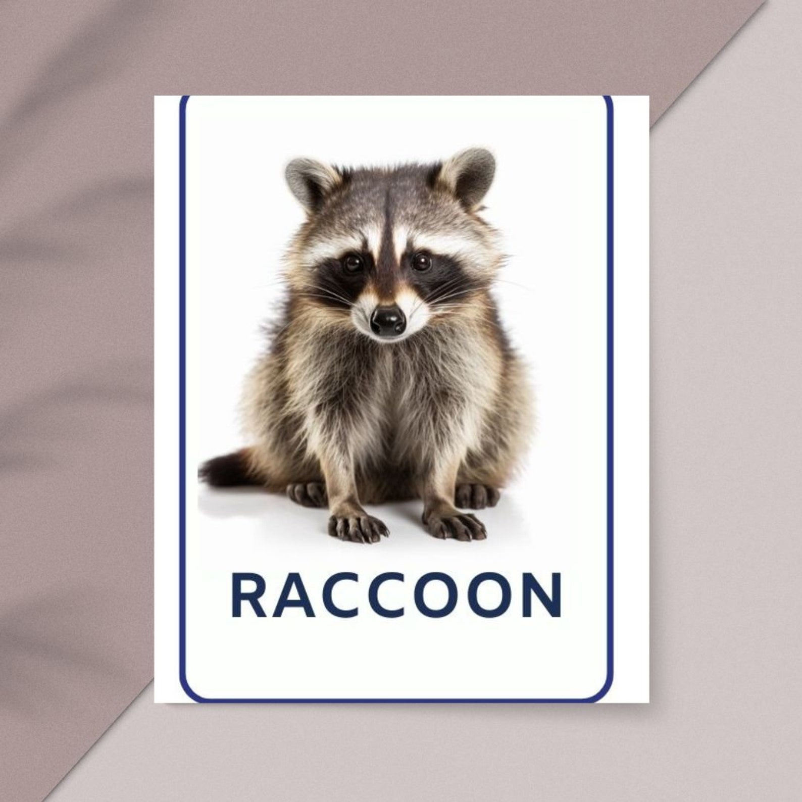 32 Wild Animals Flashcards, African Animals, Kids Cards, Nomenclature ...