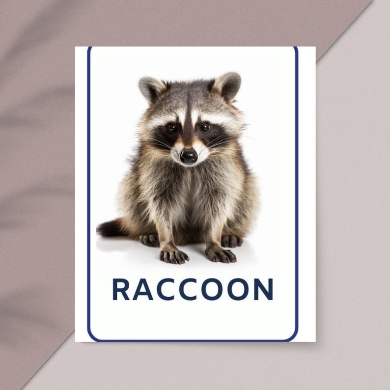 32 Wild Animals Flashcards, African Animals, Kids Cards, Nomenclature ...