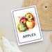 32 Fruits Flashcards, Kids Printable, Nomenclature Cards, Toddler ...