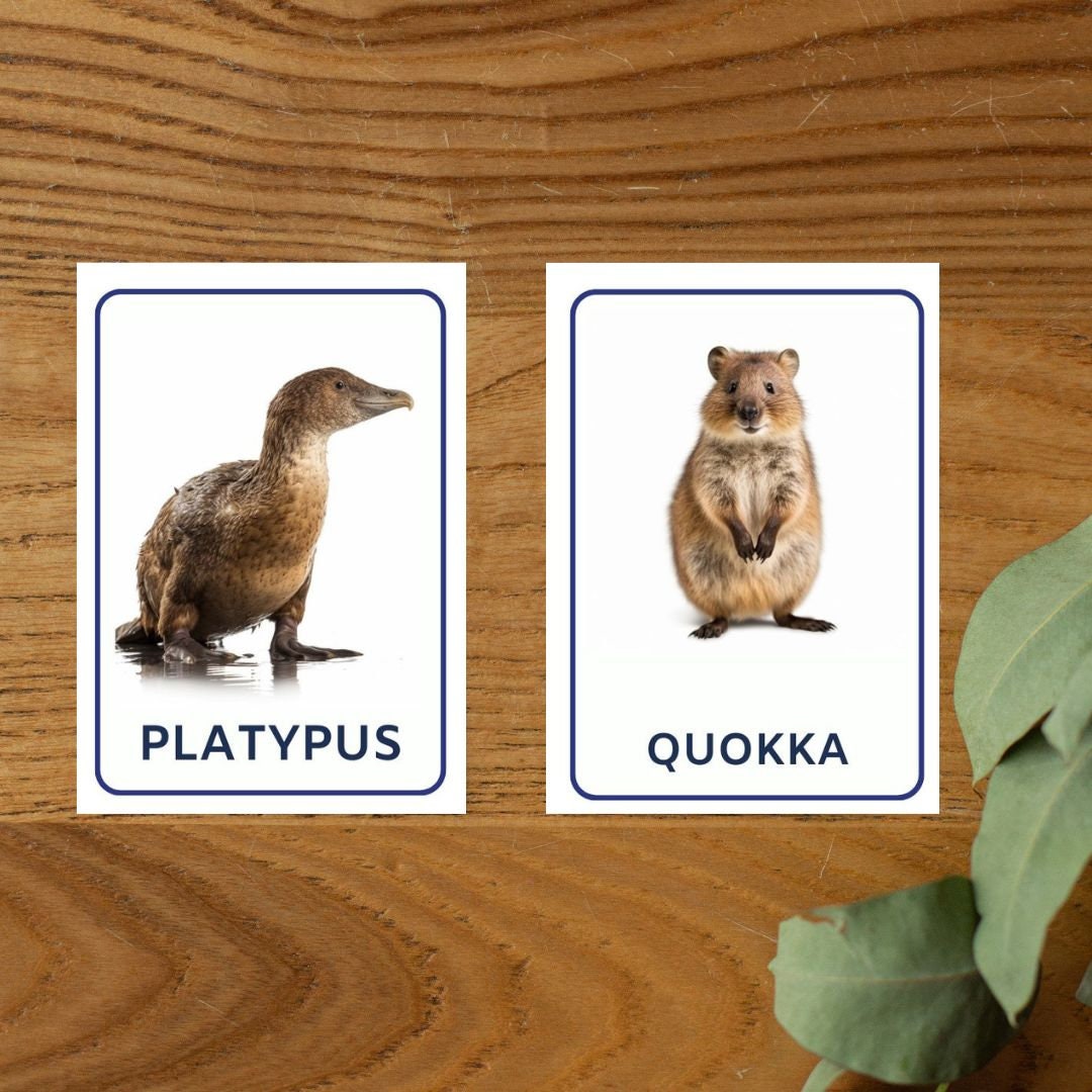 Explore 32 Australian Animals Flashcards for Kids, Printable ...
