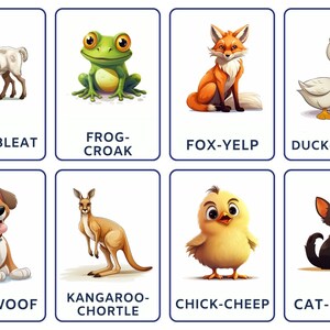 Bundle of Animal Flashcards, Arctic, African, Amphibians and Reptiles ...