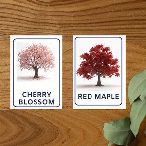 TREES (real Pictures) - 32 Editable Montessori Cards, Nomenclature ...