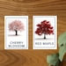 TREES (real Pictures) - 32 Editable Montessori Cards, Nomenclature ...
