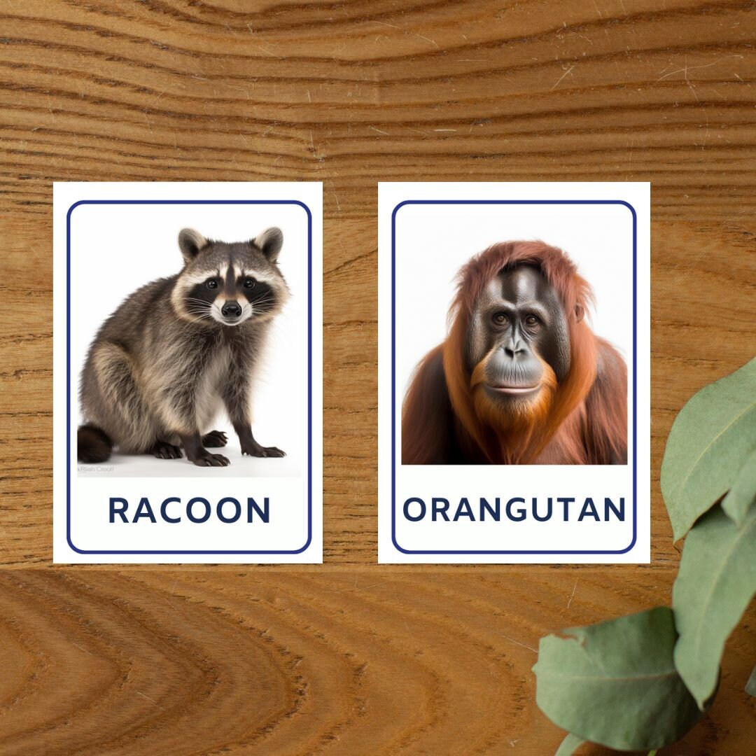 Discover Jungle Animals 32 Montessori Flashcards With Editable PDF ...