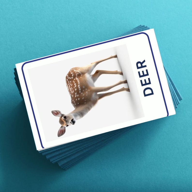 Discover 32 Mammals With Our Montessori Flashcards. Printable PDF Cards ...