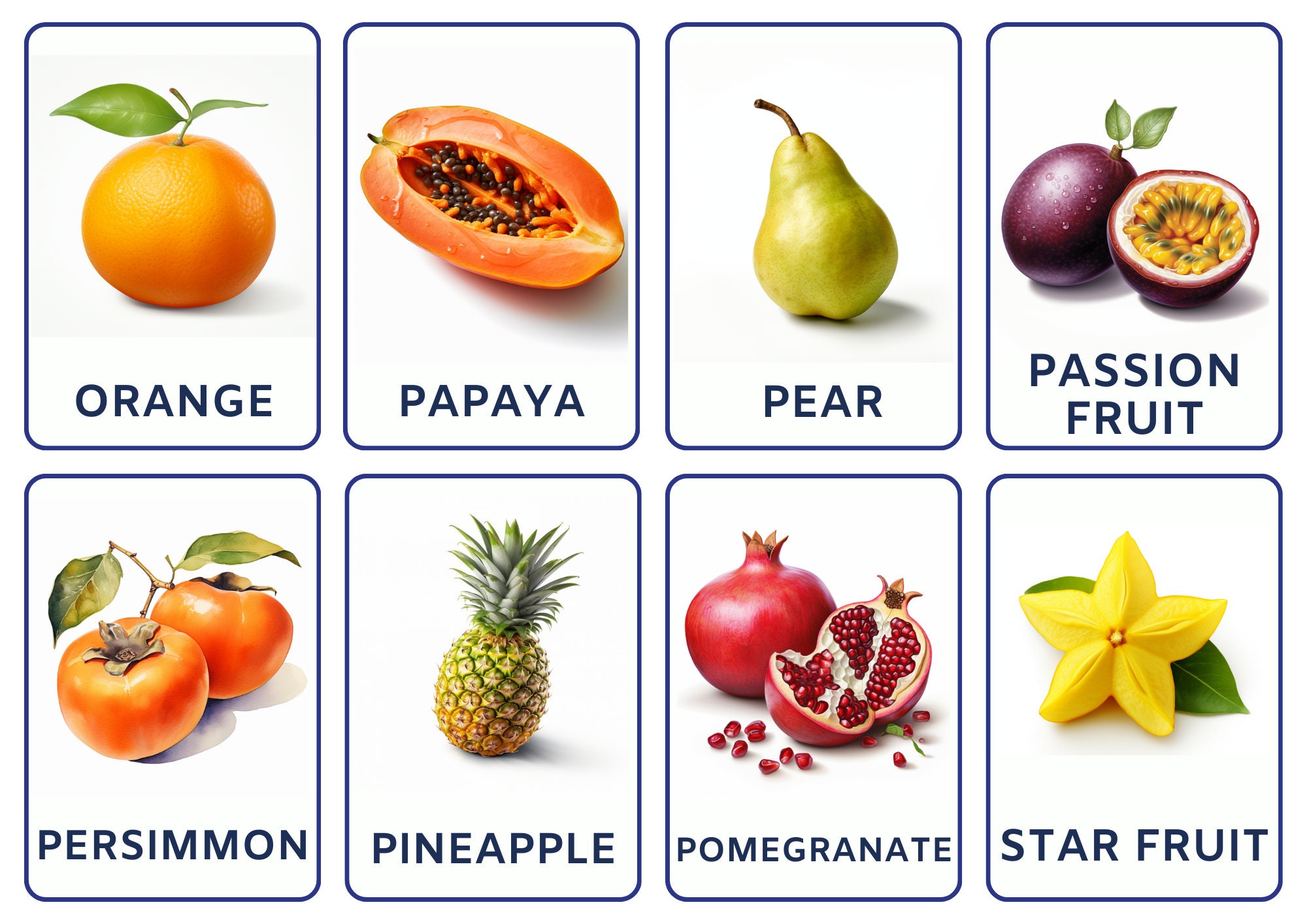 Flashcard Bundle of Winter Nature Bundle Includes Winter Vegetables ...