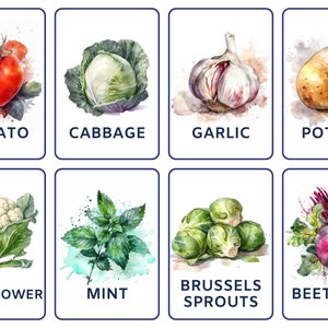 Flashcard Bundle of Kitchen and Tools Bundle Includes Vegetables, in ...