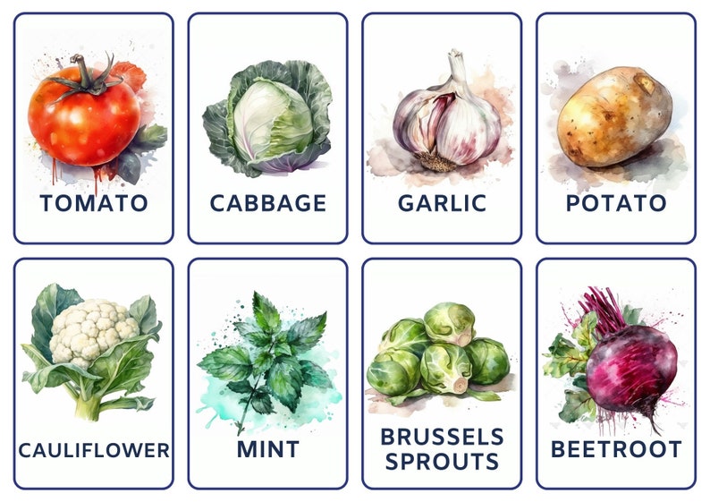 Flashcard Bundle of Kitchen and Tools Bundle Includes Vegetables, in ...