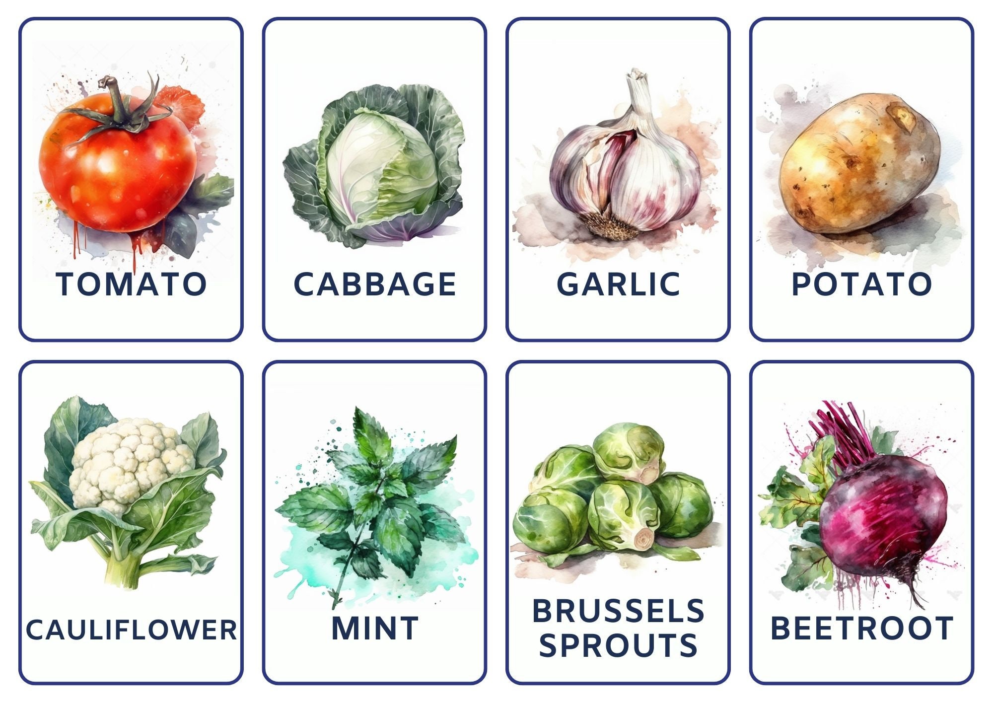 Flashcard Bundle of Kitchen and Tools Bundle Includes Vegetables, in ...