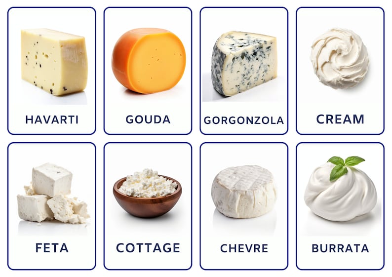 Flashcard Bundle of Learning Food Bundle Includes Fast Food, Protein ...