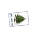 Trees, Real Pictures, 32 Editable Montessori Cards, Nomenclature ...