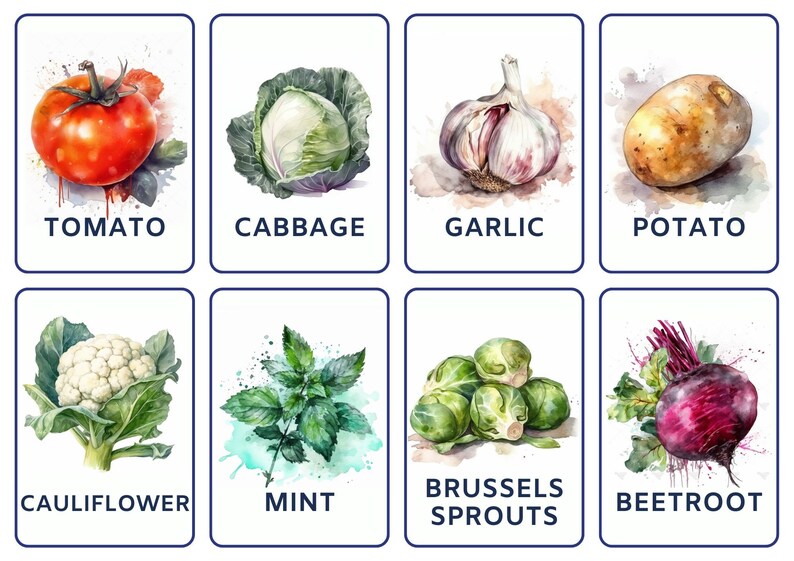 Natures Farm Feast Flashcard Bundle, Including Berries Flashcard, Nuts ...