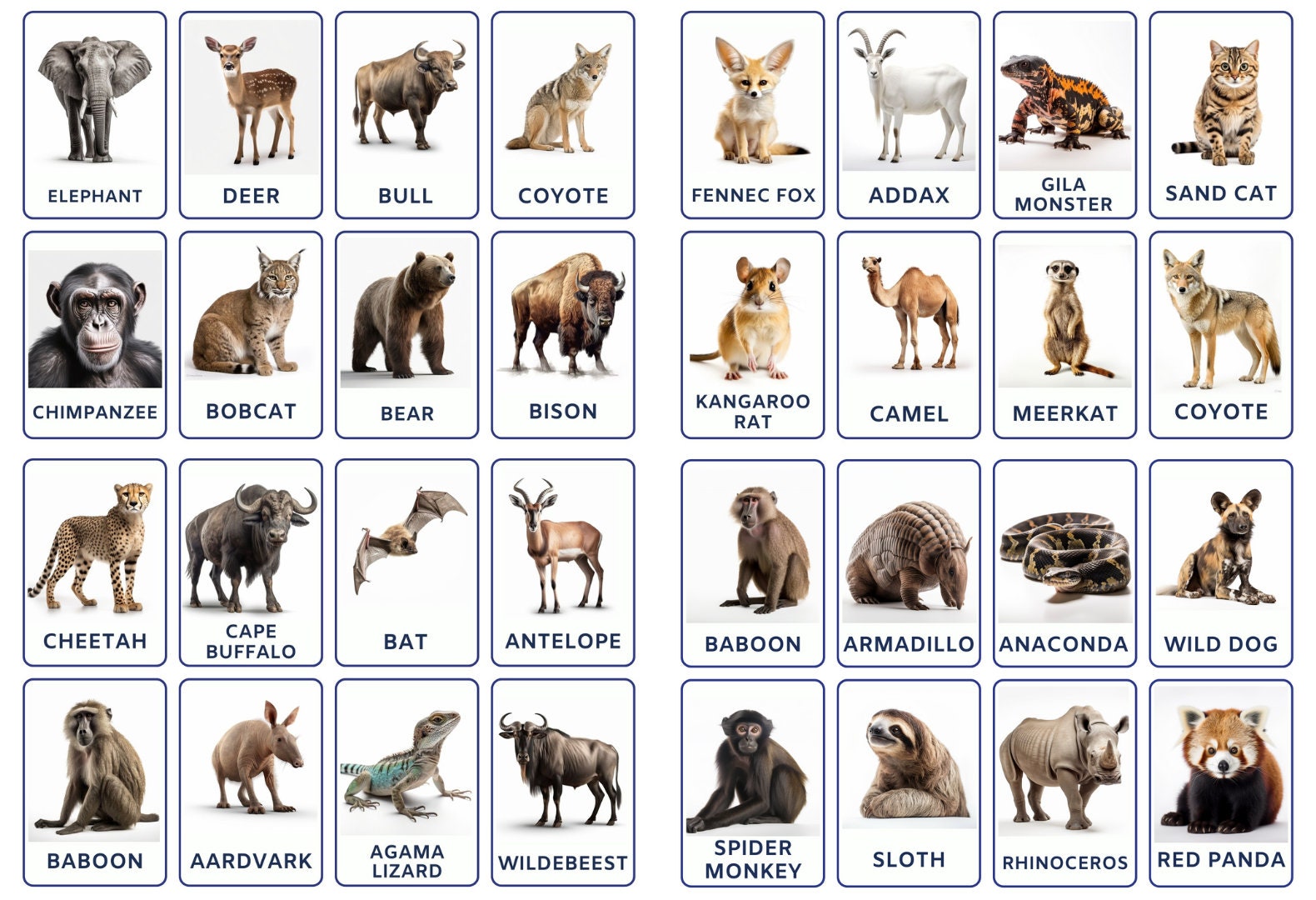 Flashcard Bundle of Wild World Bundle Including Safari Animals, Wild ...