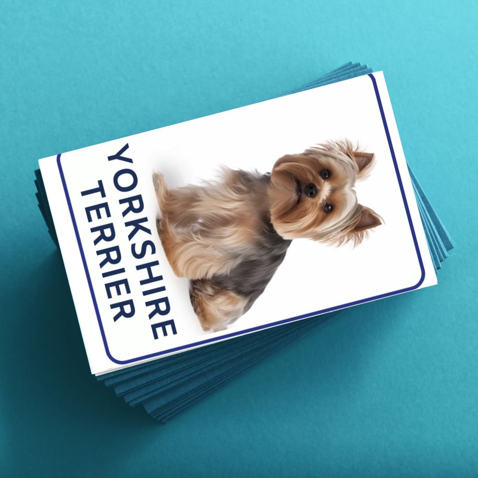 Explore Dog Breeds 32 Montessori Flashcards With Real Pictures ...
