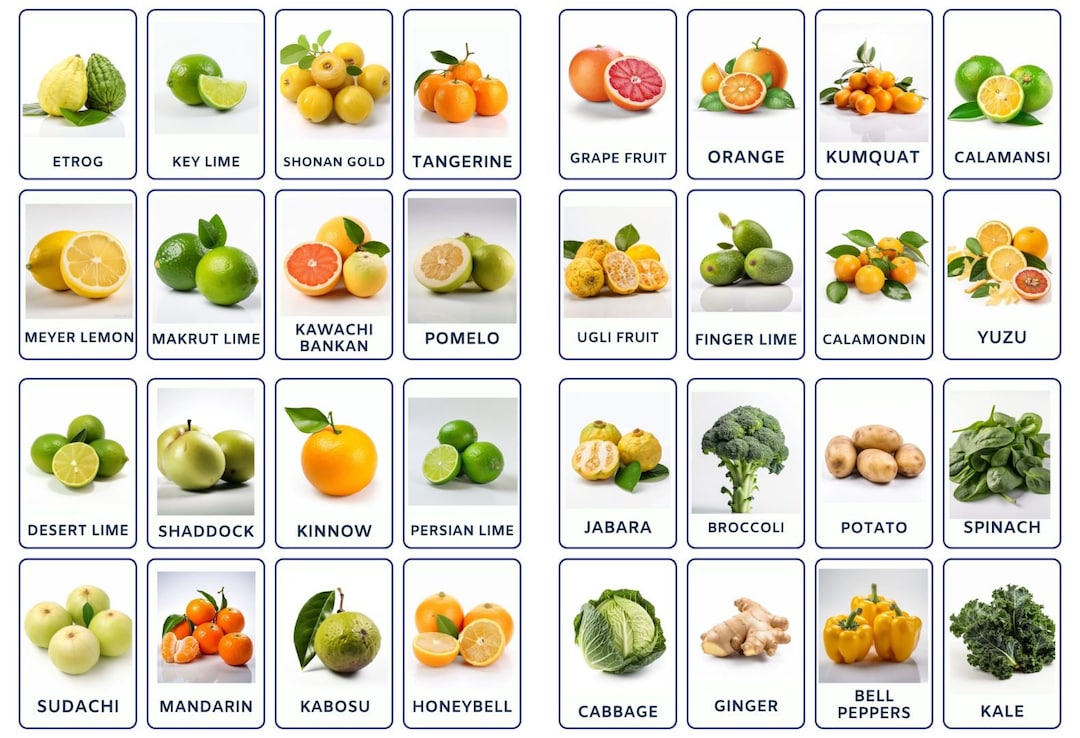 32 Citrus Fruits and Vegetables Flashcards, Kids Printables ...