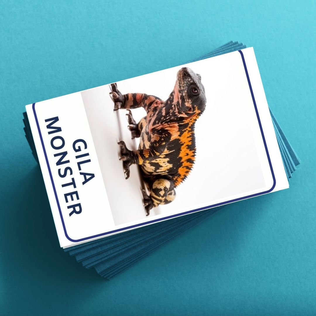 Explore Desert Wonders, 32 Desert Animals Flashcards for Kids and ...