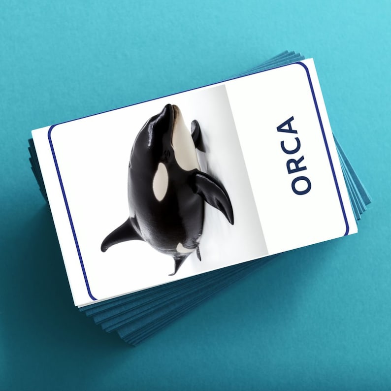 Engage Kids With 32 Ocean Animals Flashcards, Montessori Materials ...