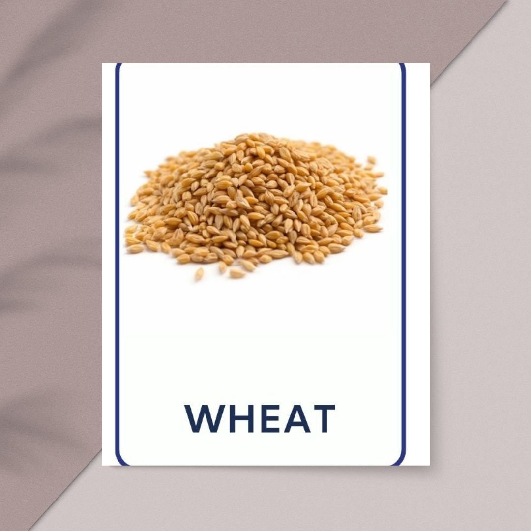 SEEDS Montessori Flash Cards, Real Pictures, 32 Editable Cards for ...