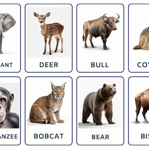 Baby Animals, Wild Creatures, Forest, Farm, Domestic, Birds, Desert ...