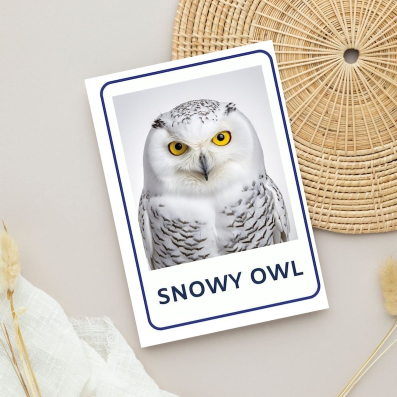 Chill With Arctic Friends, 32 Arctic Animals Flashcards for Kids and ...