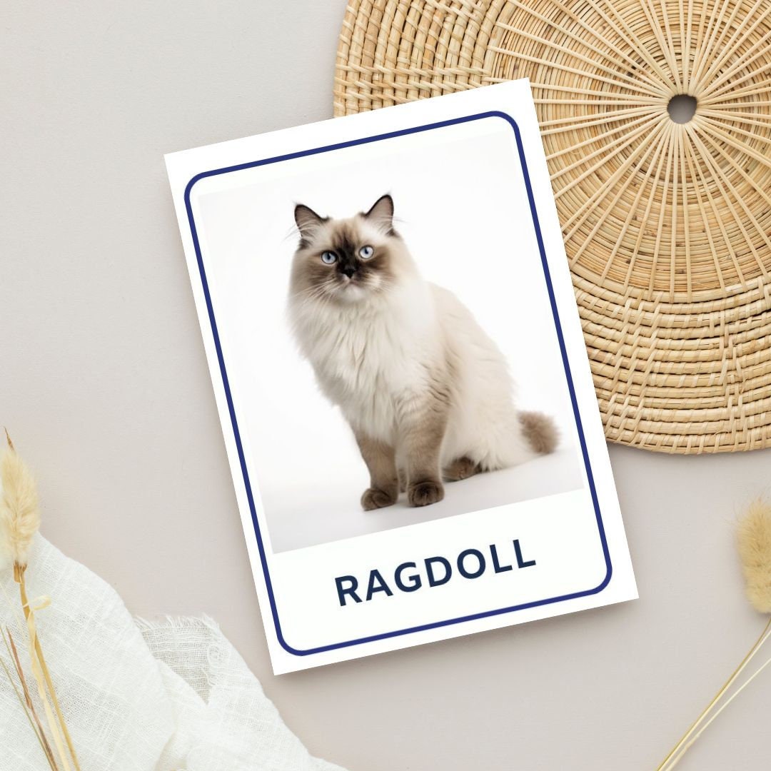 32 Cats Breed Flashcards, Kids Printable, Nomenclature Cards, Toddler ...