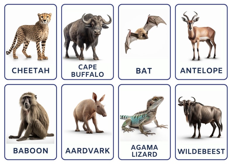 Safari and Jungle Animal Flashcards, Zoo, Woodland, Wild Animals ...