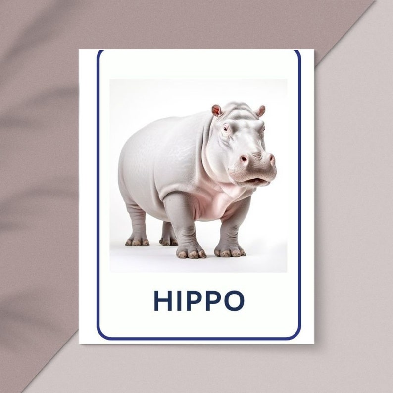 32 Zoo Animals Flashcards, Kids Printable, Nomenclature Cards, Toddler ...